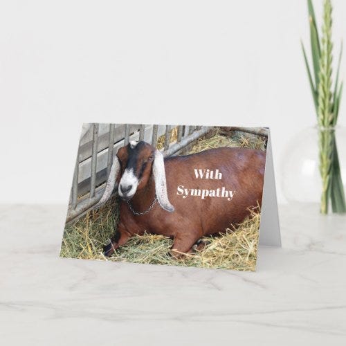 Best Deals! Pretty Brown Nubian Goat Photo Sympathy Card for $3.97 ...