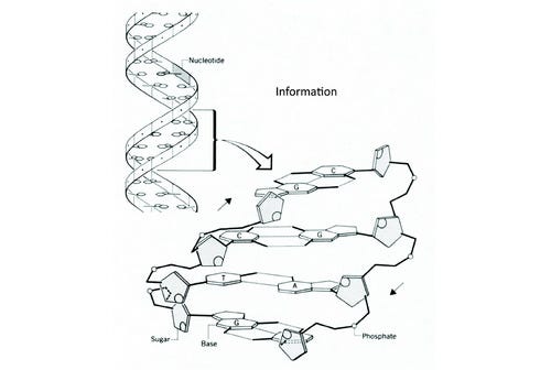 Genes, DNA, and RNA -. Last time we left off with Mendel’s… | by Philip ...