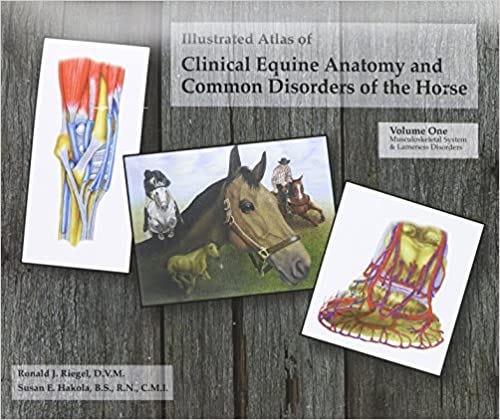 Bestsellers***) Read Book [PDF] Illustrated Atlas of Clinical Equine Anatomy and Common ...
