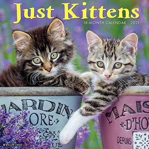 Read online Just Kittens 2021 Wall Calendar by Willow Creek Press | by ...