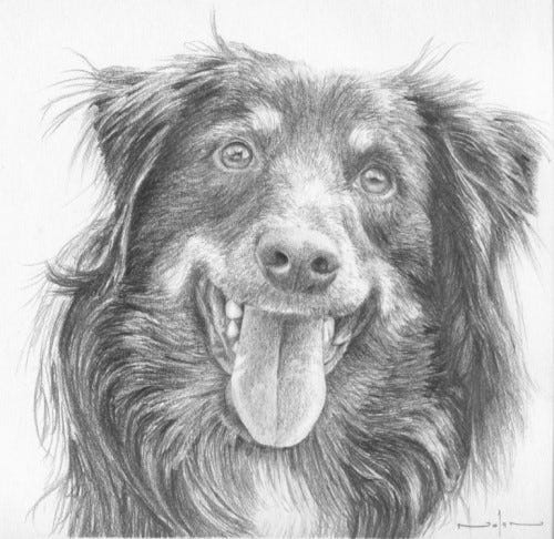 Master Drawing Skills: Learn to Draw like a Master Artist | by ...