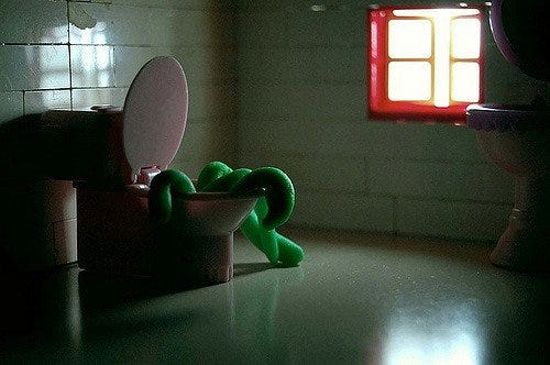 Pooping Anxiety Is Very Real | by NYU Local | NYU Local