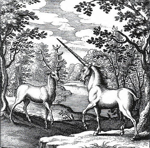 Narwhal Unicorn Evolution