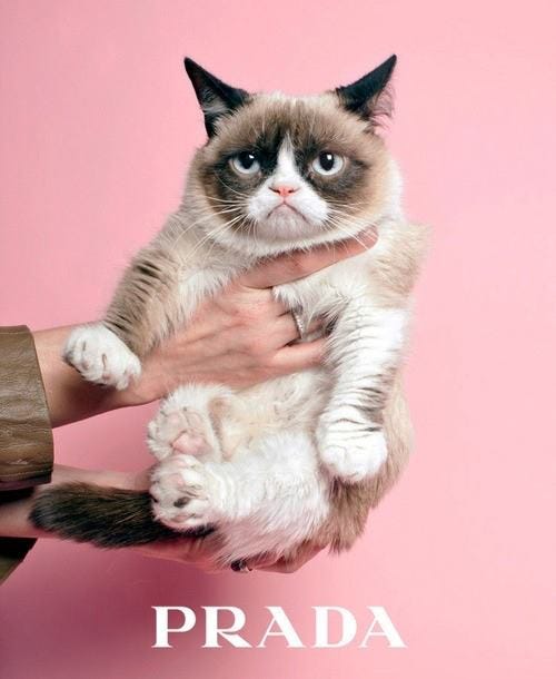 Handsome. | by Anna Mischke | Mischke Business | Medium