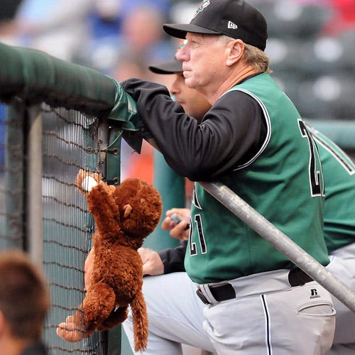 What’s a monkey doing in the dugout? | by MLB.com/blogs | MiLB Snap Shots
