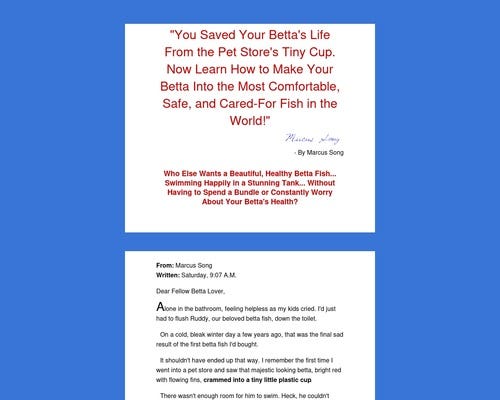 Betta Fish — Learn How to Give Your Betta a Great Life! | by ...