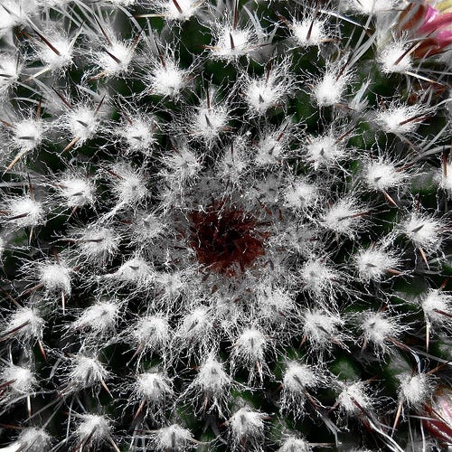 Untitled | by Bruce Alderson | The Hacker Ethic | Medium