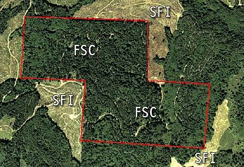 SFI vs FSC. Existen dos alternativas fundamentales… | by Aineth Torres ...