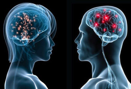 WHAT HAPPENS WHEN AMYGDALA IS REMOVED FROM HUMAN BRAIN | by Shaina A ...