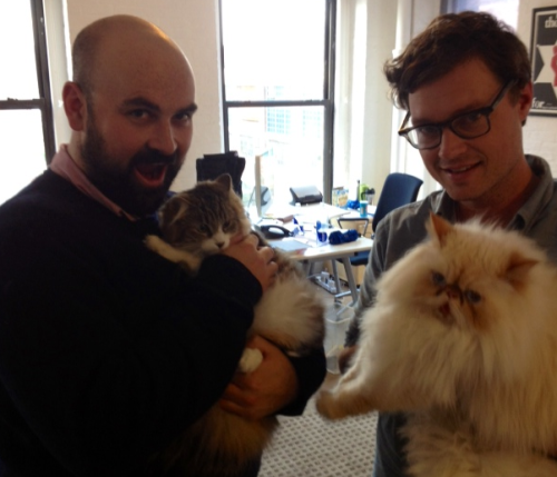 What Happens When You Bring Your Cat to Work | by The Awl | The Awl ...