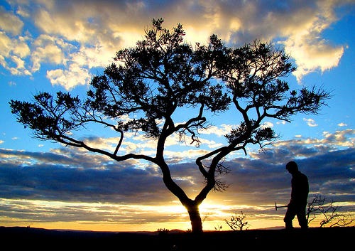 Nature vs. Capitalism? Why not both? | by IIX | IIX Stories | Medium