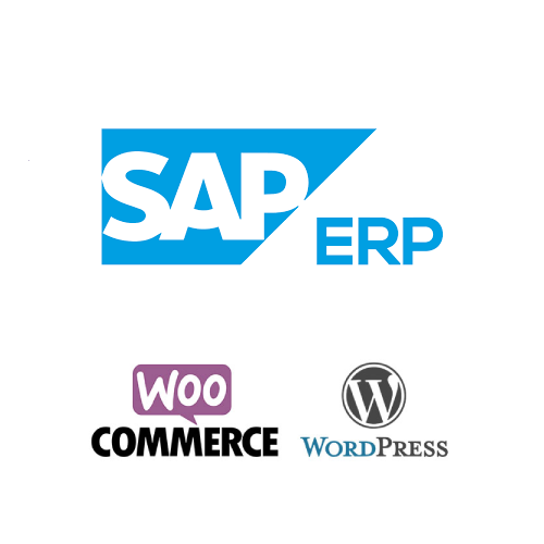 SAP ERP Wordpress Woocommerce Connector | by PasarelasDePagos | Medium