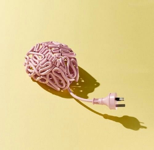 DIY Neural networks: Blobs of fat in your skull… and computer science ...