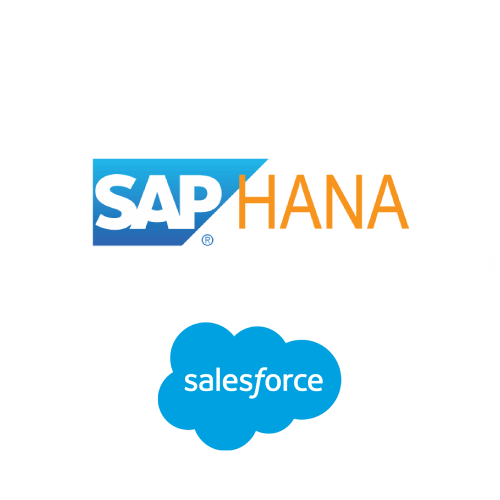 SAP SalesForce HANA Connector | by PasarelasDePagos | May, 2024 | Medium