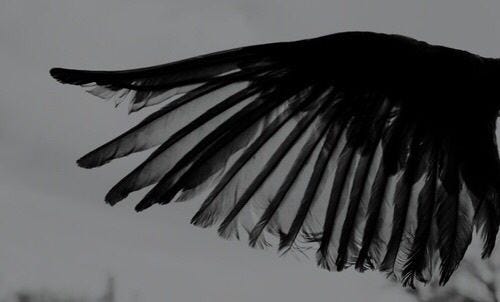 A half torn wings. - Mariedna Arthroine - Medium