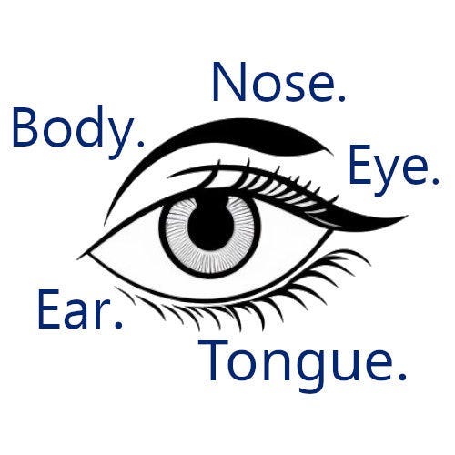 Limitations of Human Perception: How Our 5 Senses Shape Our ...