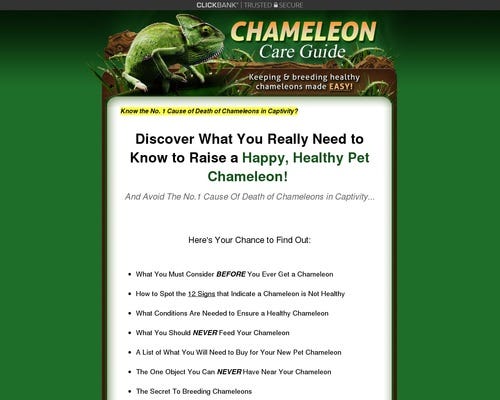 Chameleon Care Guide — Keeping and Breeding Healthy Chameleons Made ...
