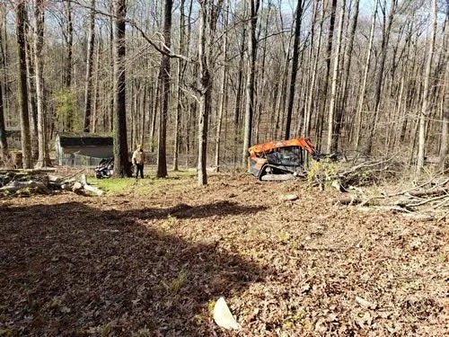 Before and After: Transforming Your Land with Underbrush Removal in ...