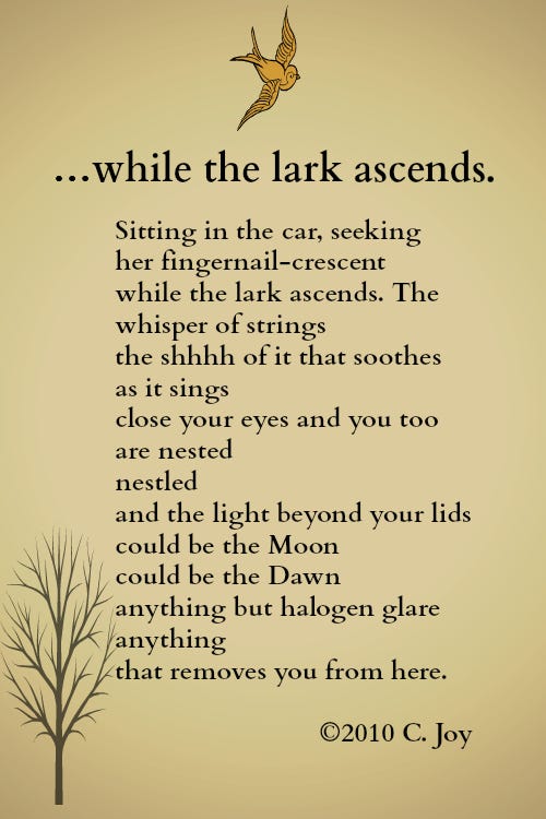 …while the lark ascends.. …while the lark ascends. | by Christina Joy ...