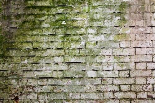 Protect Your masonry wall from deterioration and damage due to harsh ...