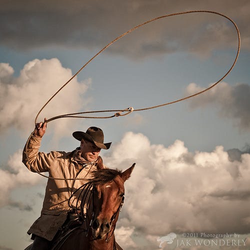 Let’s Lasso!. As competition intensifies, the need… | by creativelasso ...