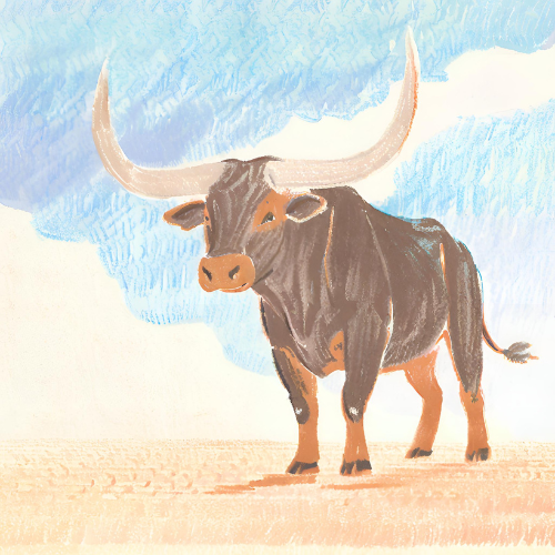 The Spectacular Story of Zenzele and the Rain Bull | Mythology Journal