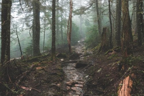 The Hard Path ~ The Quality of Mercy | by Aramis Thorn | Medium