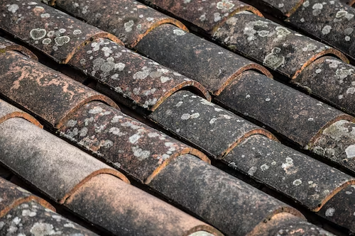 3 Things That Are Ruining Your House’s Roof | Medium