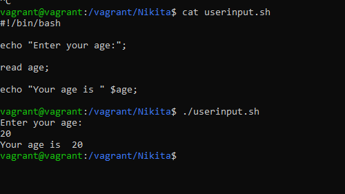 Day4 #90DaysOfDevOps. So, I’m taking up this challenge of… | by Nikita ...