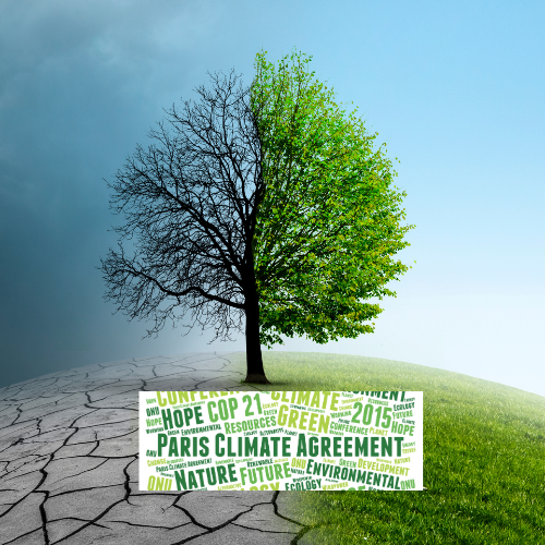 Why Nationally Determined Contributions (NDCs) Matter for Children, the ...
