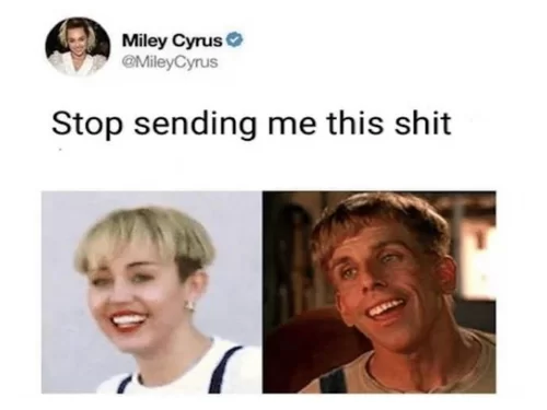 20 Best Stop Sending Me This Shit Memes - Chameleon Memes - Medium