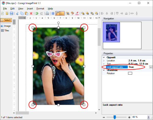 Lock Aspect Ratio. “Lock Aspect Ratio” is the possibility… | by Ulf ...