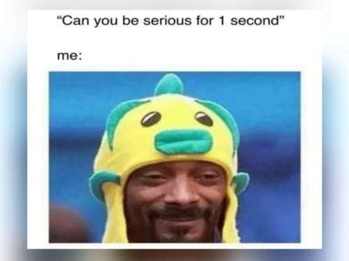 20 Hat Memes That’ll Make You Want to Tip Your Cap and Chuckle ... 20 Hat Memes That’ll Make You Want to Tip Your Cap and Chuckle ...