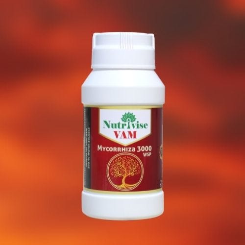 Mycorrhiza 3000IP 1 Kg - agroniv - Medium