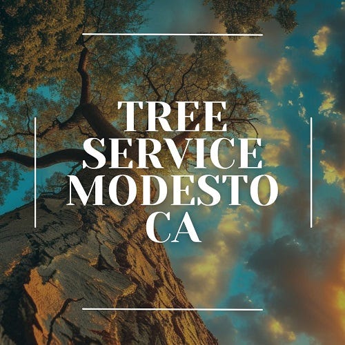 Tree Service Modesto CA. Address: | by Treeservicdestoca | Feb, 2024 ...