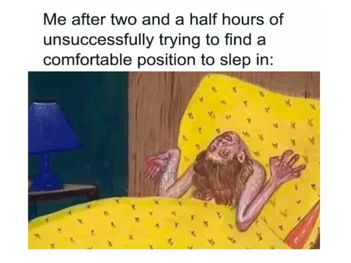 20 Funny Sleep Memes Every Night Owl Can Relate To - Chameleon Memes ...