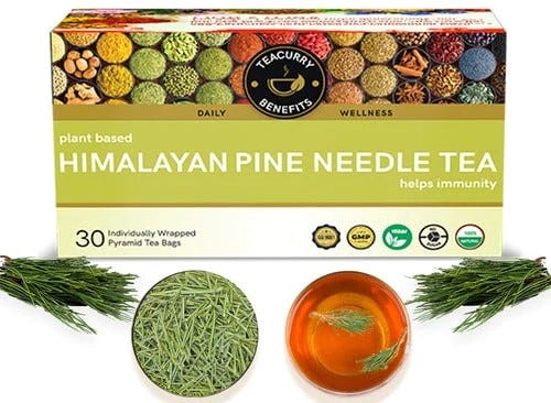 Teacurry Himalayan Pine Needle Tea | by Prashankjn | Medium