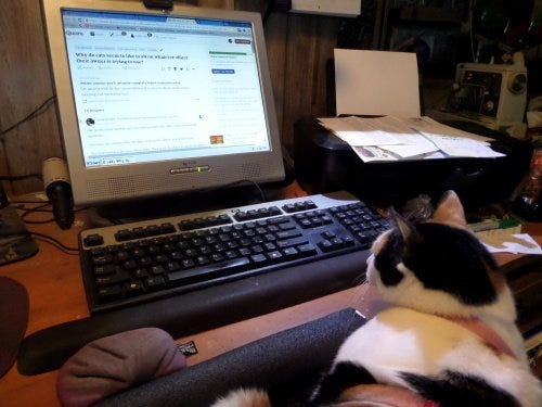 I’m 20… since when?. I was born on October 8th, 2002. I… | by Charlee ...