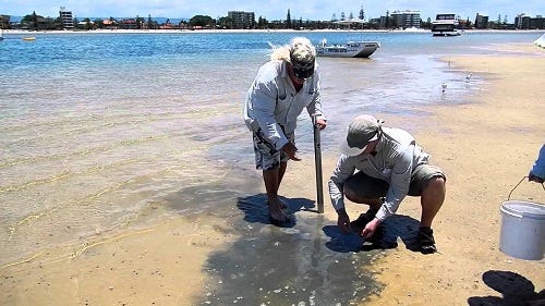 Yabbing Pumping on the Gold Coast | by Sightseeing Tours Australia | Medium