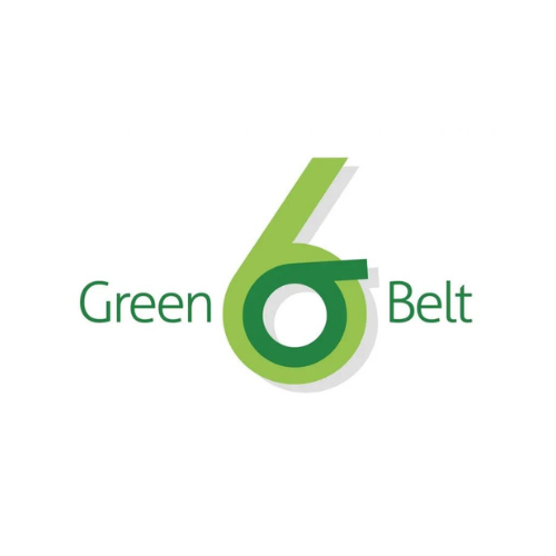 Excel in Efficiency: Attain Excellence with Six Sigma Green Belt (SSGB ...