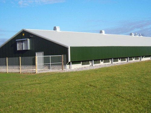 Poultry Shed Manufacturer in Hyderabad | by Lands Rover Group | Medium