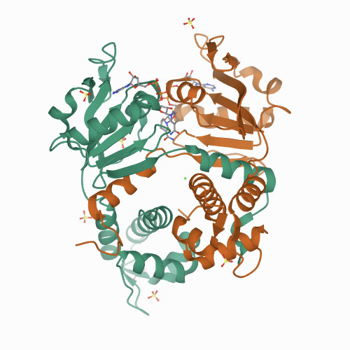 BERT meets the Protein 3D structure | by Akira Sosa | Vitalify Asia ...
