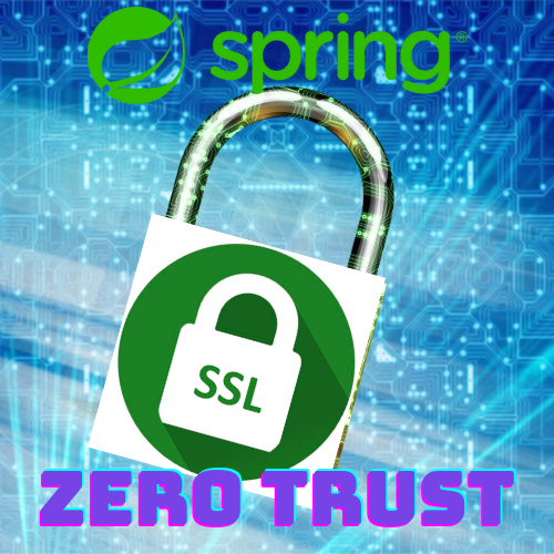 Spring Mvc With Ssl For Secure Communication By Amit Himani Level