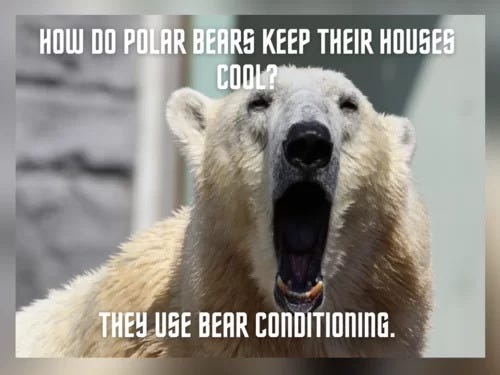 50 Polar Bear Jokes That Will Make You Say, “Sealiously, That’s Hilarious! - Chameleon Memes ...