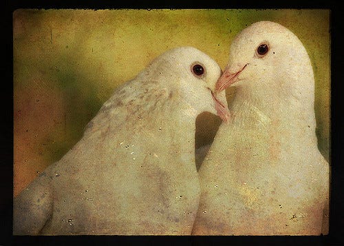 Vows. a double acrostic | by Máyọ̀wá | Poetry in Form