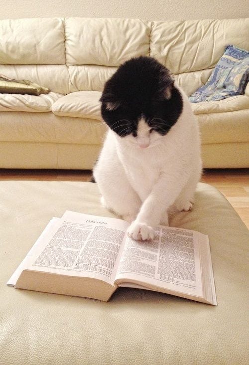 The SQ3R method to learn anything on your own | by Skylar Hayes 📚🌸 | Medium