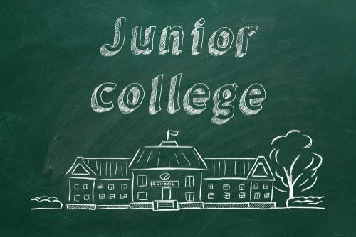 Learn Science in a Fun Way at the Best Junior Colleges | by Mohit ...