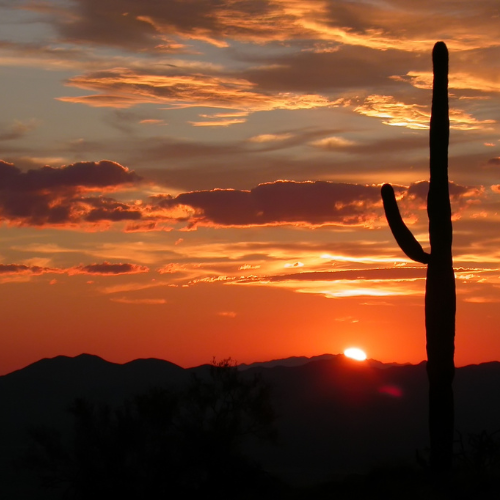 Tempe Commerce Group. Blog | by Tempe Commerce Group | Apr, 2025 | Medium
