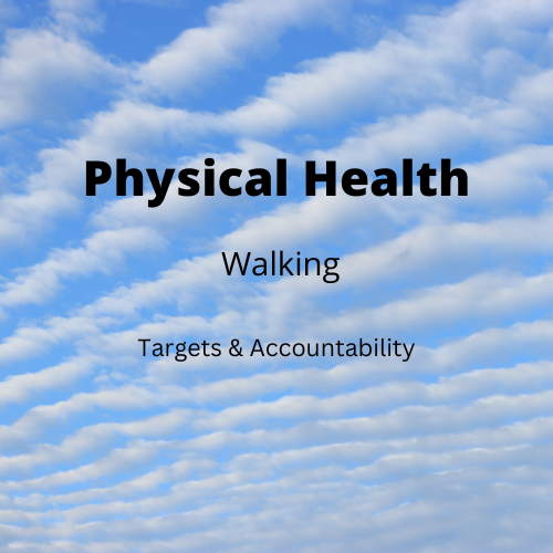 Walking Targets & StepBet | by Ann Leach | In Fitness And In Health