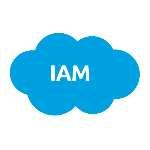 Secure Your Cloud: The Beginner’s Guide to IAM | by Nirmal NS | Medium